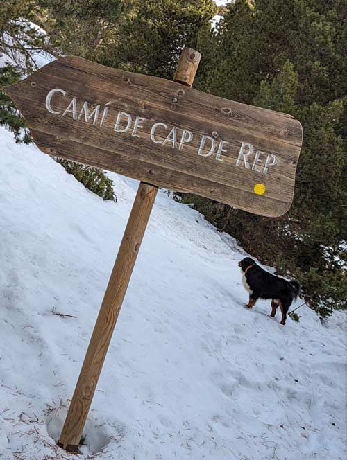 MIRADOR CAP DE REP | ANDORRA CON PERRO